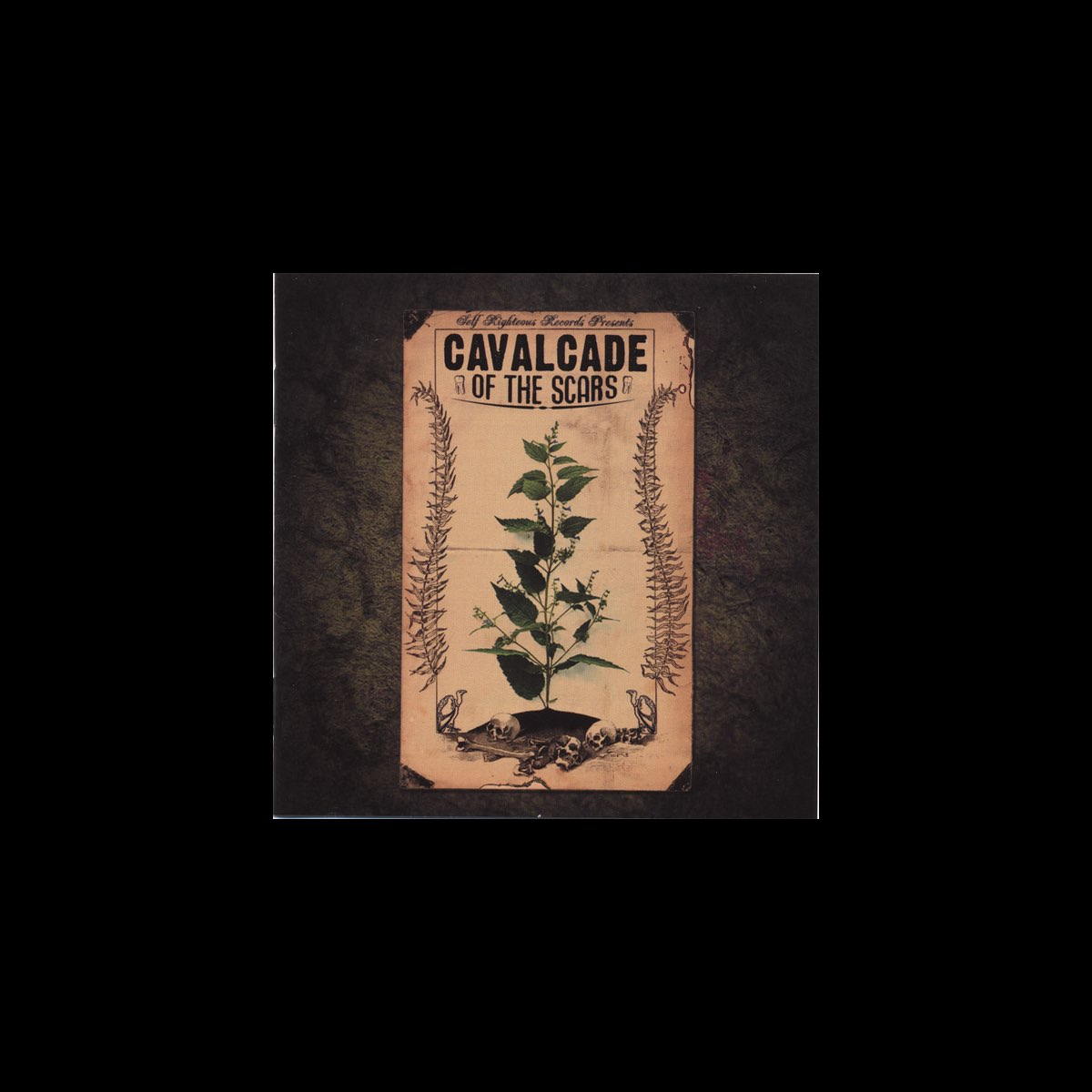 ‎Cavalcade of the Scars - Album by Various Artists - Apple Music