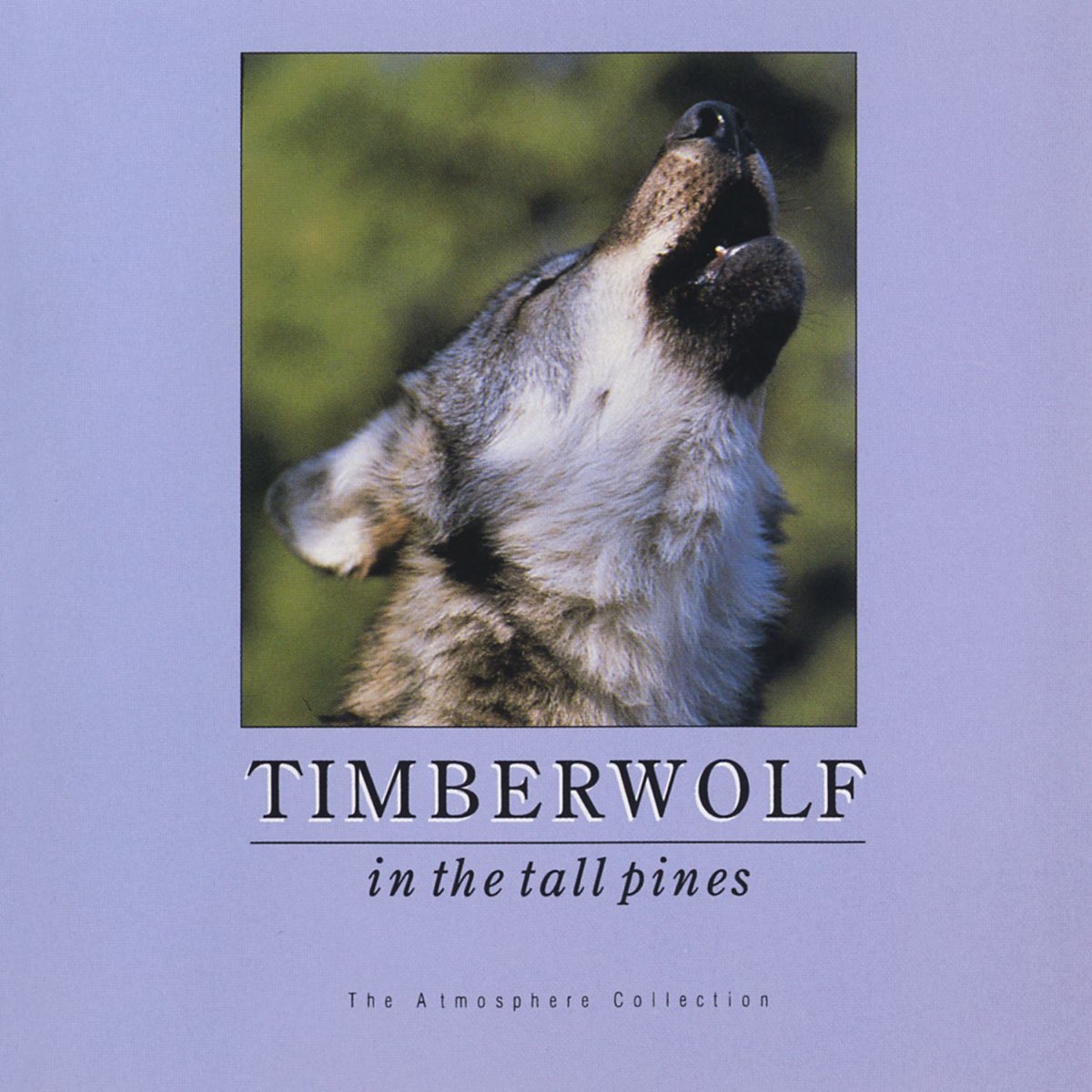 ‎Atmosphere Collection: Timberwolf In the Tall Pines - Album by ...