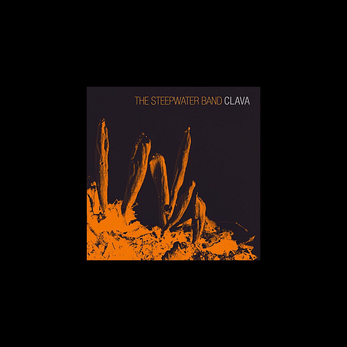 ‎Clava (Deluxe Version) - Album by The Steepwater Band - Apple Music