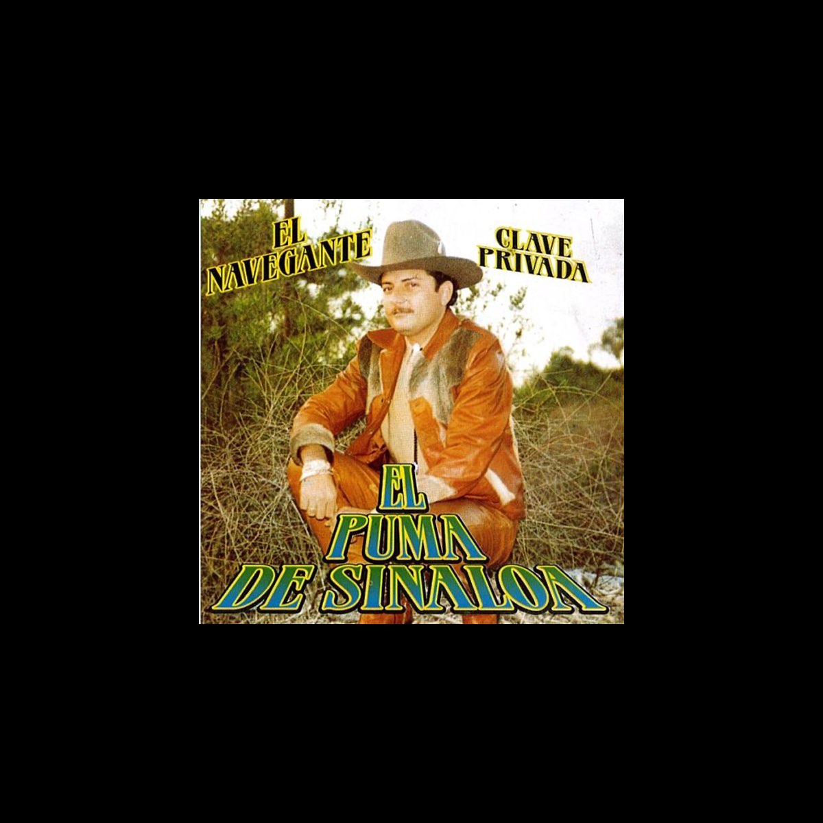 ‎Clave Privada - Album by El Puma De Sinaloa - Apple Music