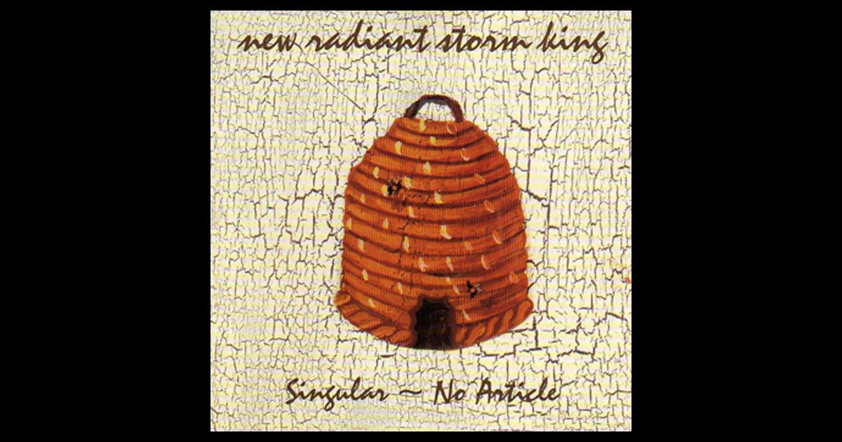 ‎Singular, No Article - Album by New Radiant Storm King - Apple Music