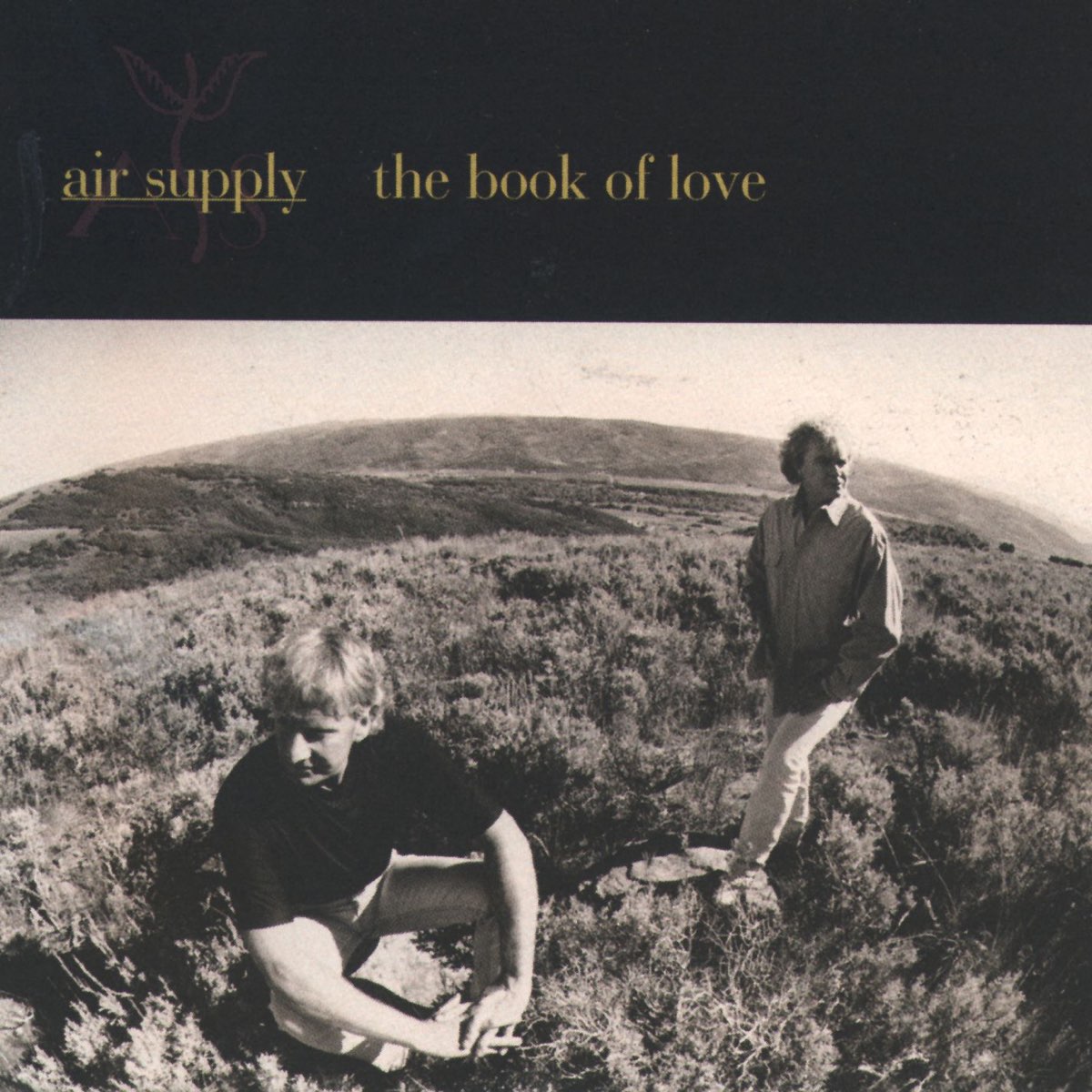 ‎The Book of Love - Album by Air Supply - Apple Music