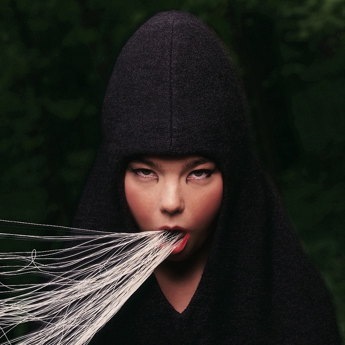 ‎The Video Album Collection - Debut & Post - ビョークのアルバム - Apple Music