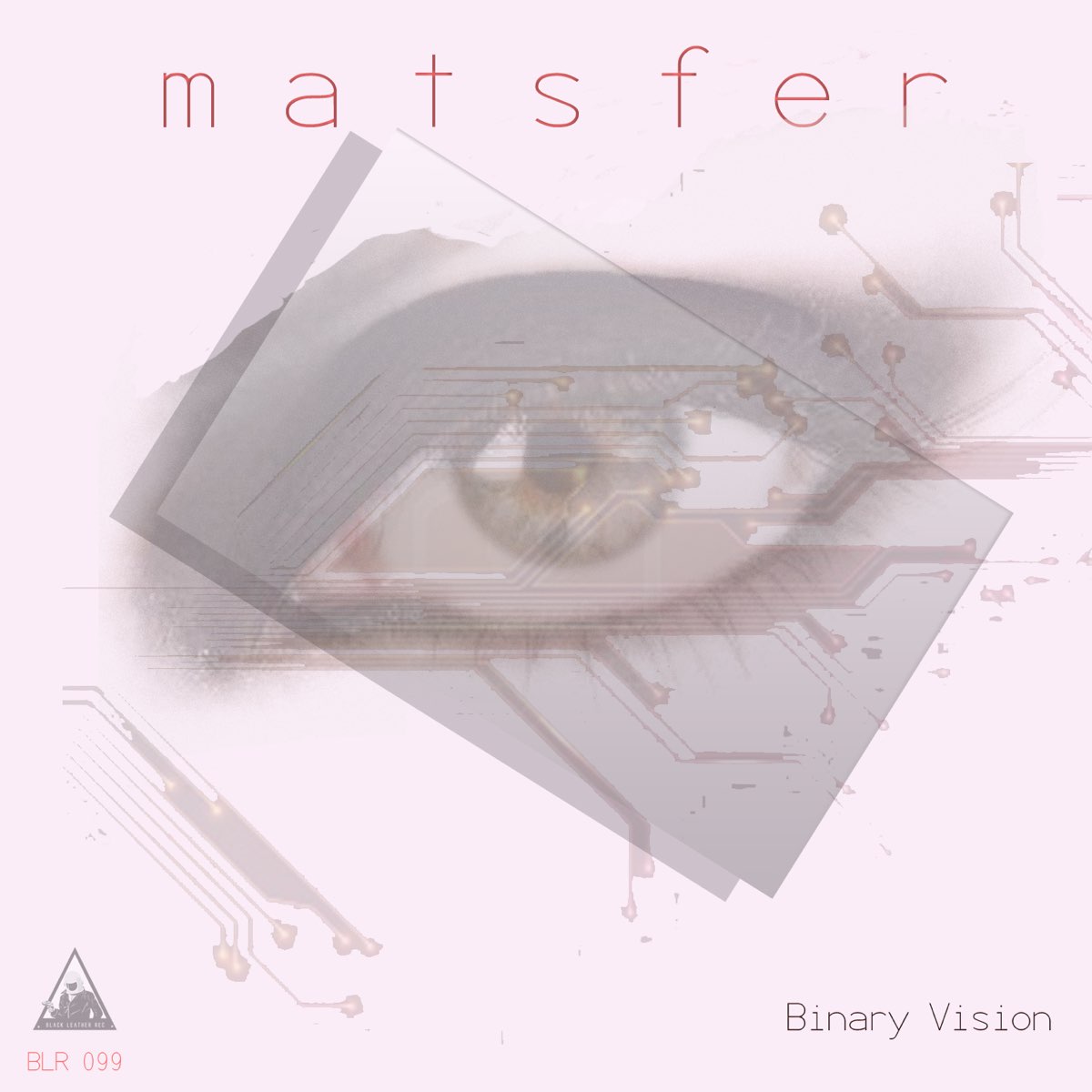 ‎Binary Vision by Matsfer on Apple Music