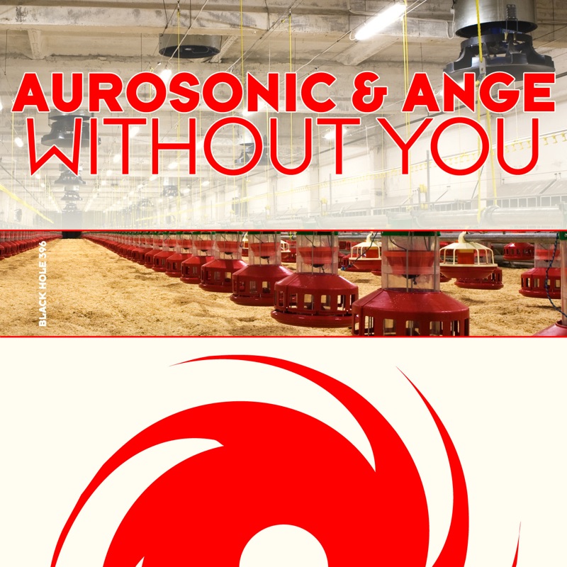 Without You (2011 Intro Mix) - Aurosonic & Ange: Song Lyrics, Music ...