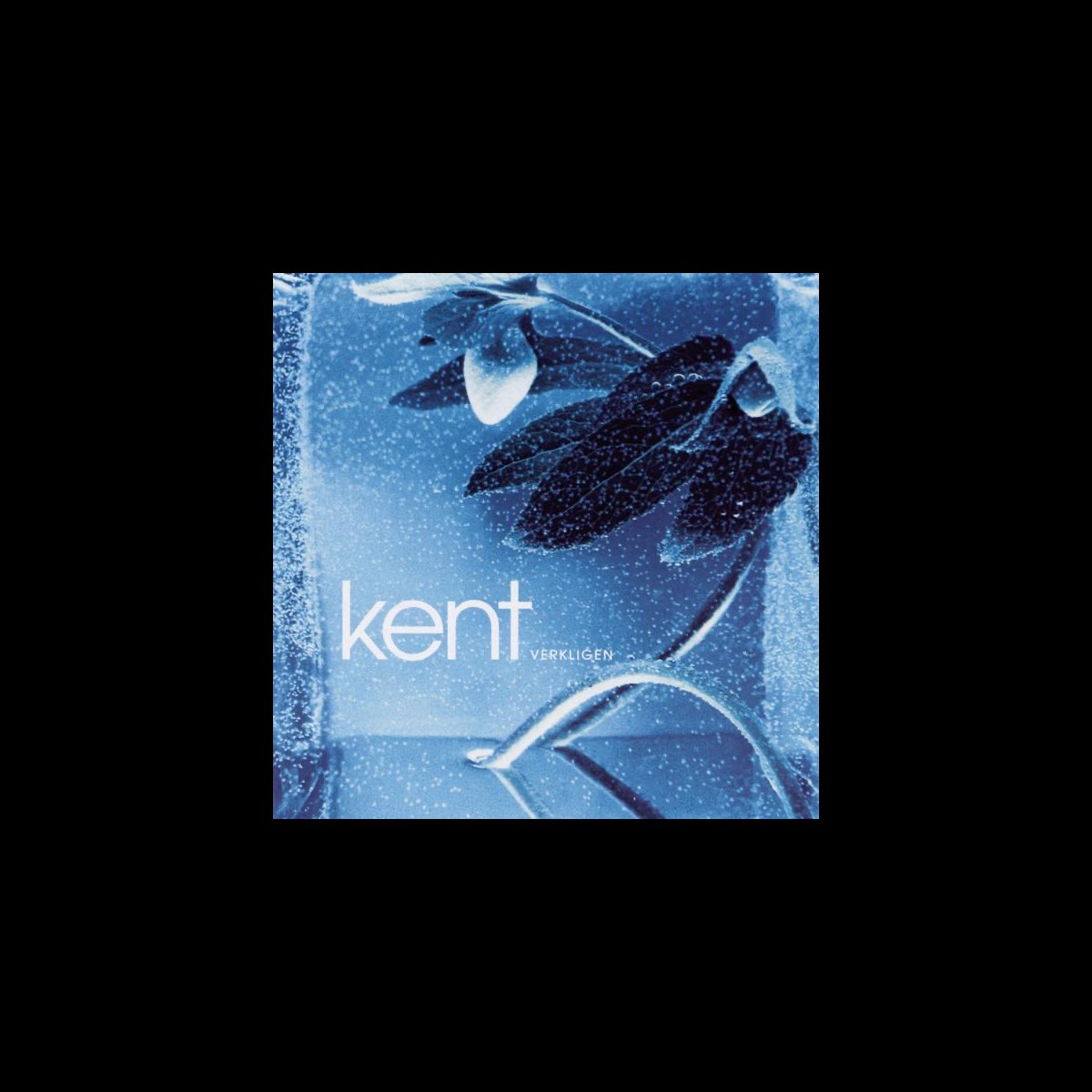 Verkligen” álbum de Kent en Apple Music