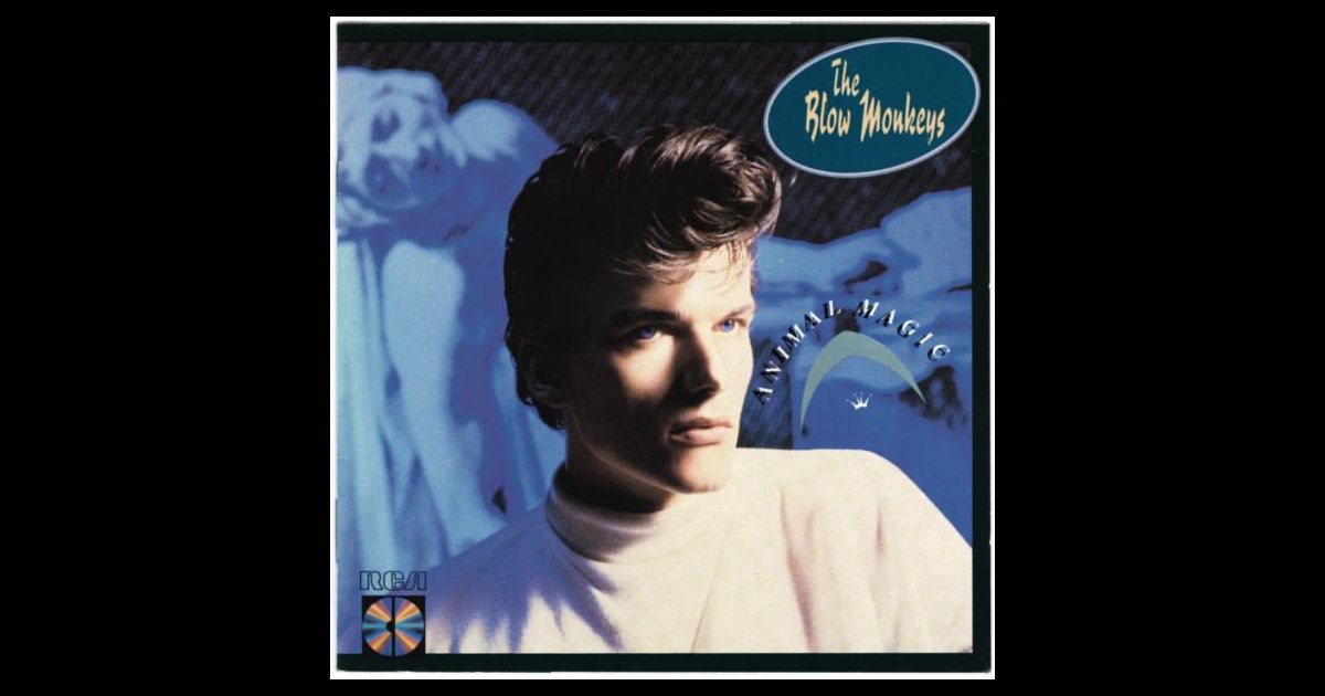 ‎Animal Magic - Album by The Blow Monkeys - Apple Music