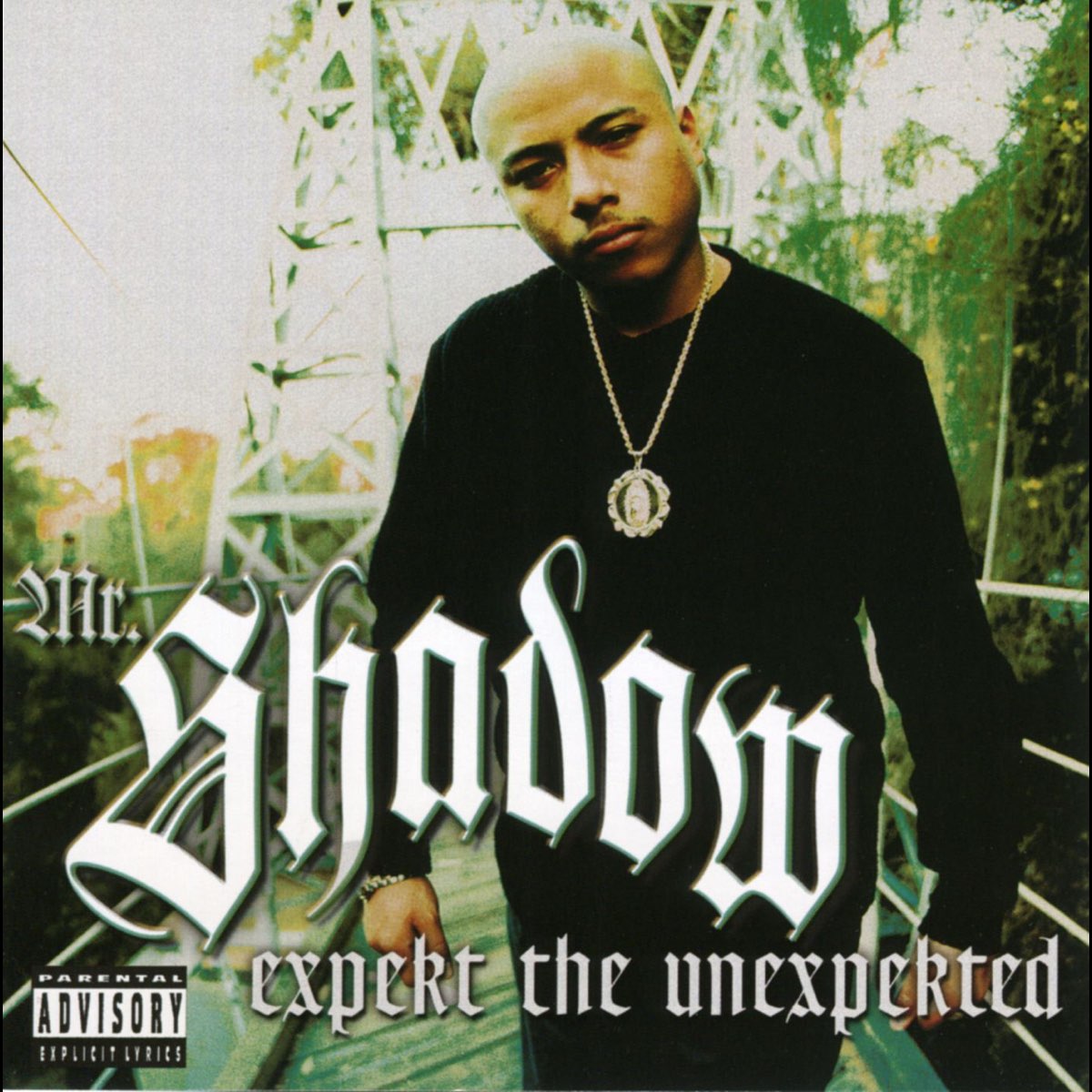 Expekt the Unexpekted” álbum de Mr. Shadow en Apple Music