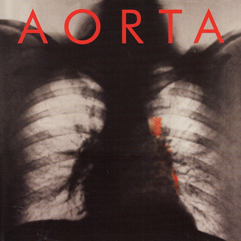 Magic Bed - Aorta: Song Lyrics, Music Videos & Concerts