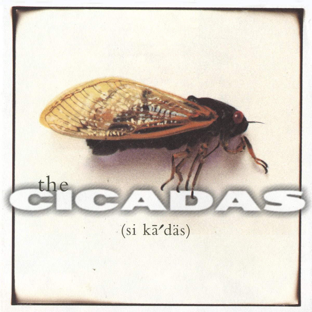 The Cicadas》- The Cicadas的专辑 - Apple Music