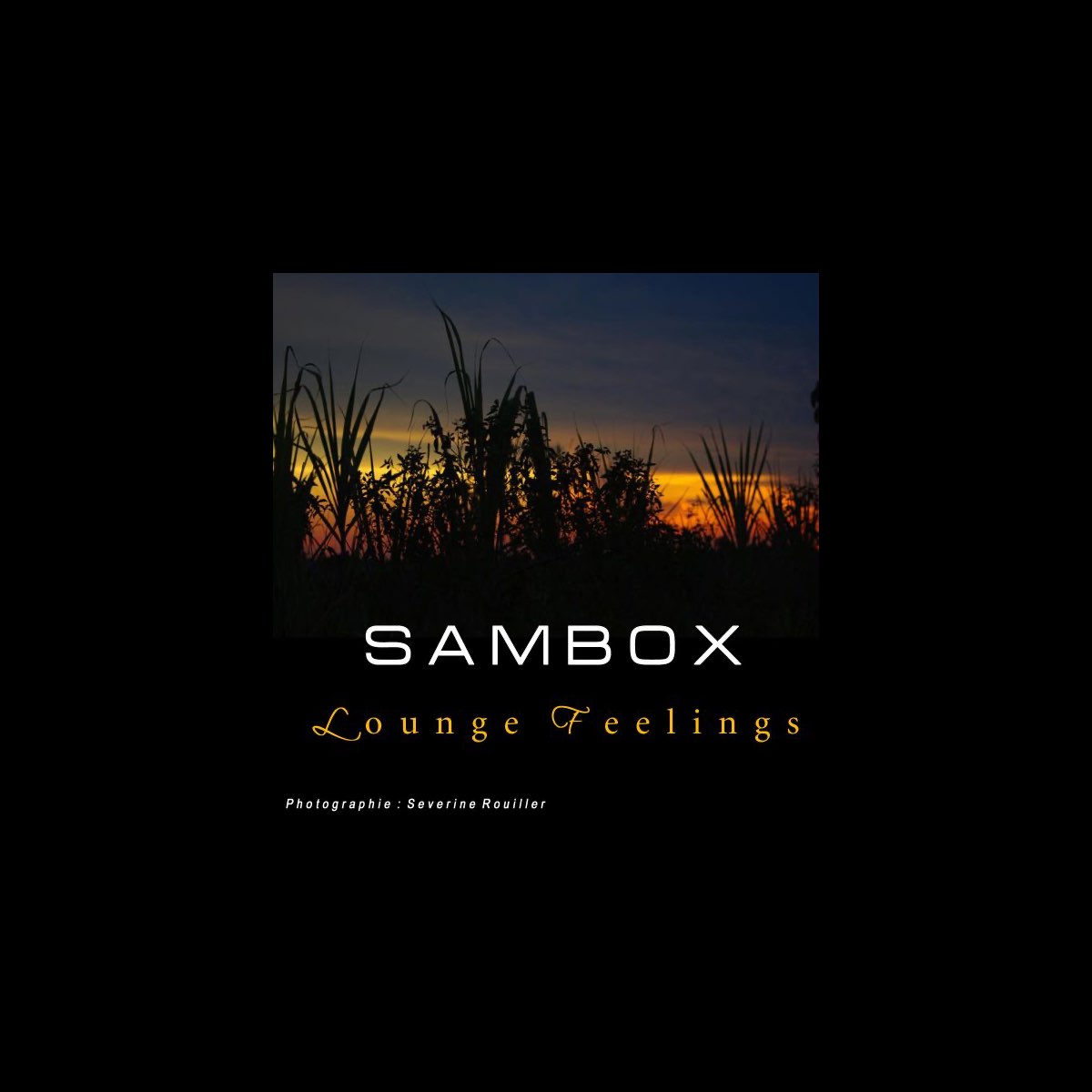 ‎Lounge Feelings - Album by Sambox - Apple Music