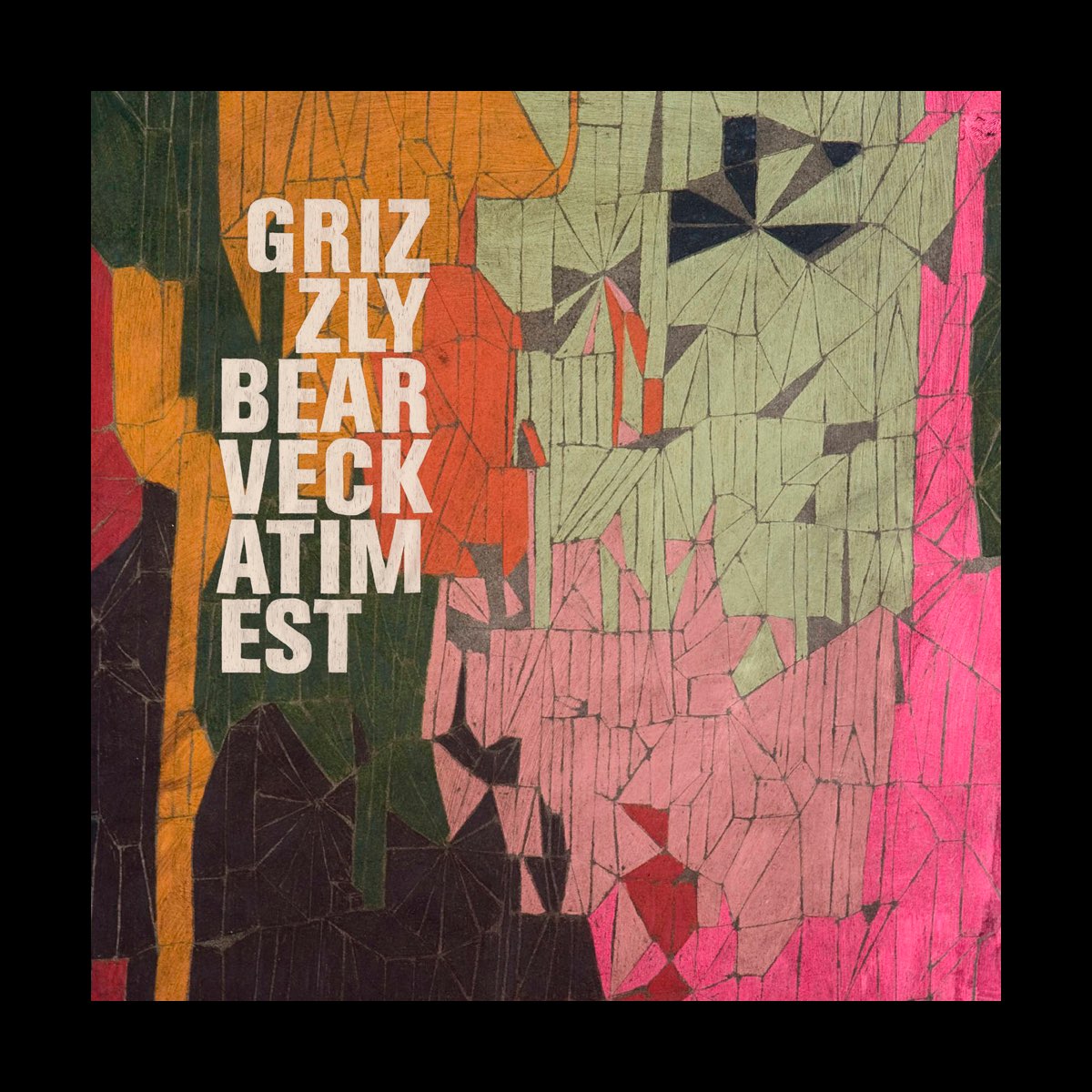 Grizzly Bear Band Album Cover