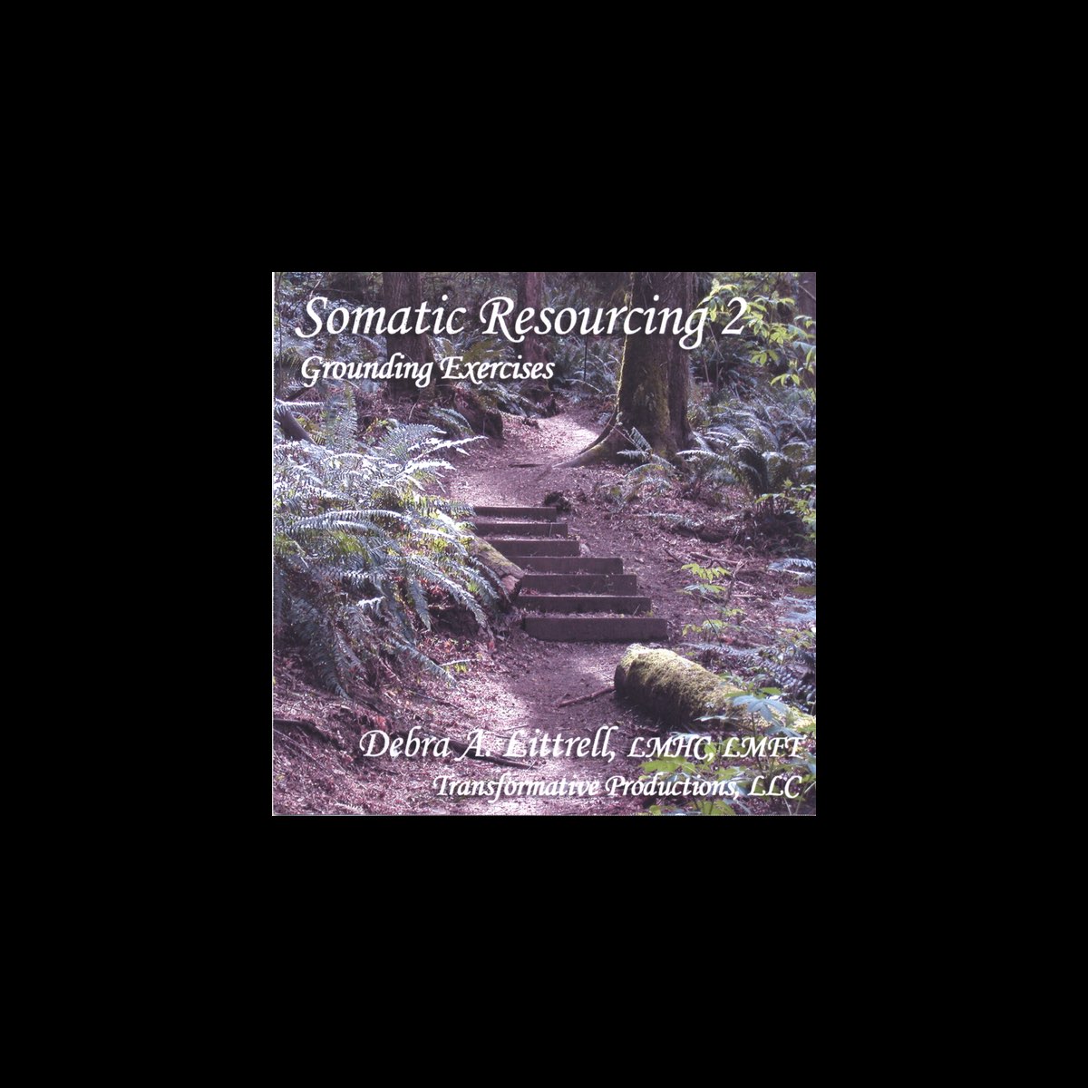 ‎Somatic Resourcing 2 - Grounding Exercises - Album by Debra A ...