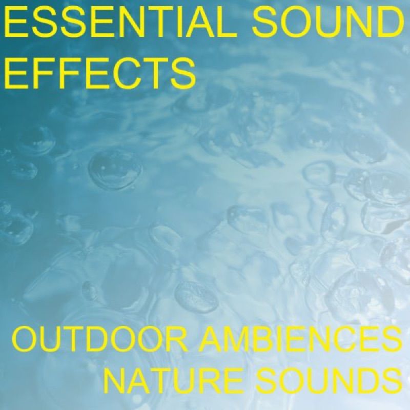 Airport Terminal Crowd People Background Ambience Sound Effects Sound ...