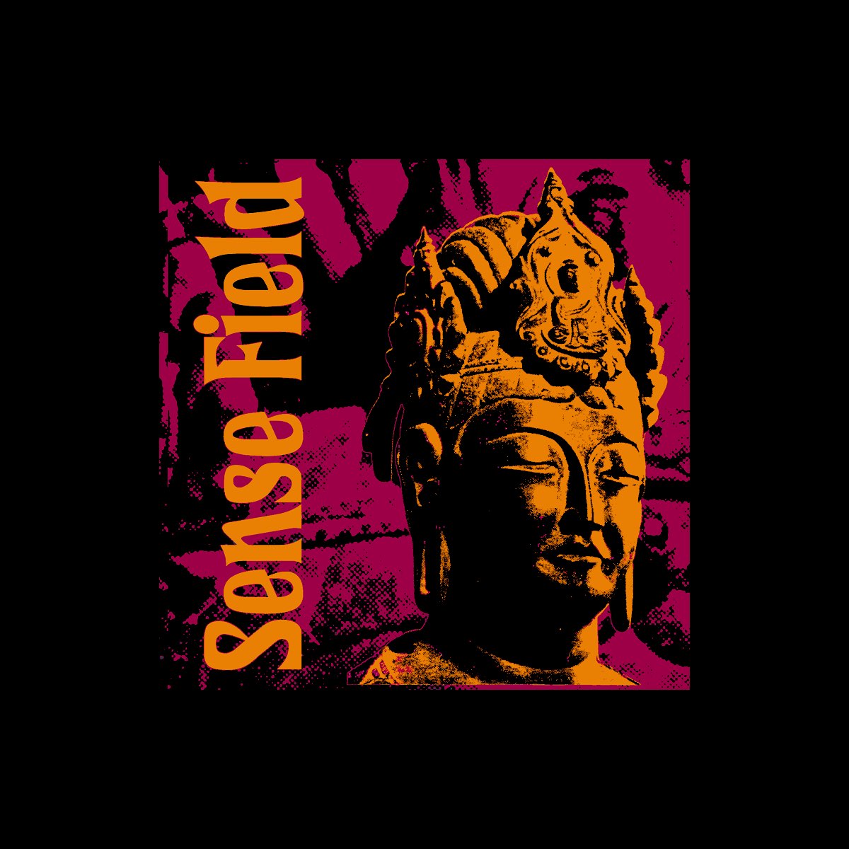 ‎Sense Field - Album by Sense Field - Apple Music