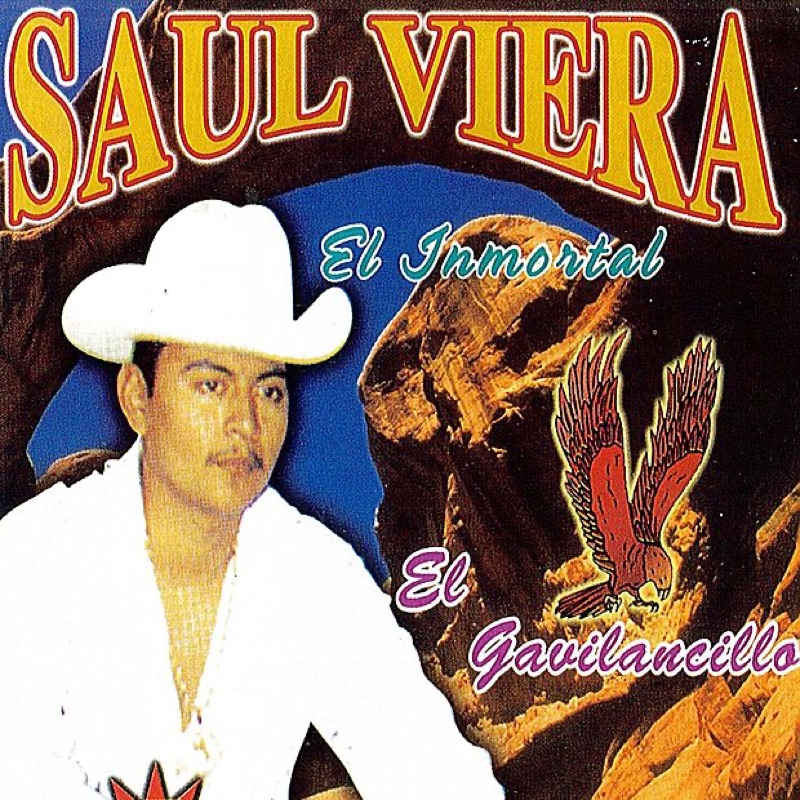 El Capitán Y El Judicial - Saul Viera El Gavilancillo: Song Lyrics ...
