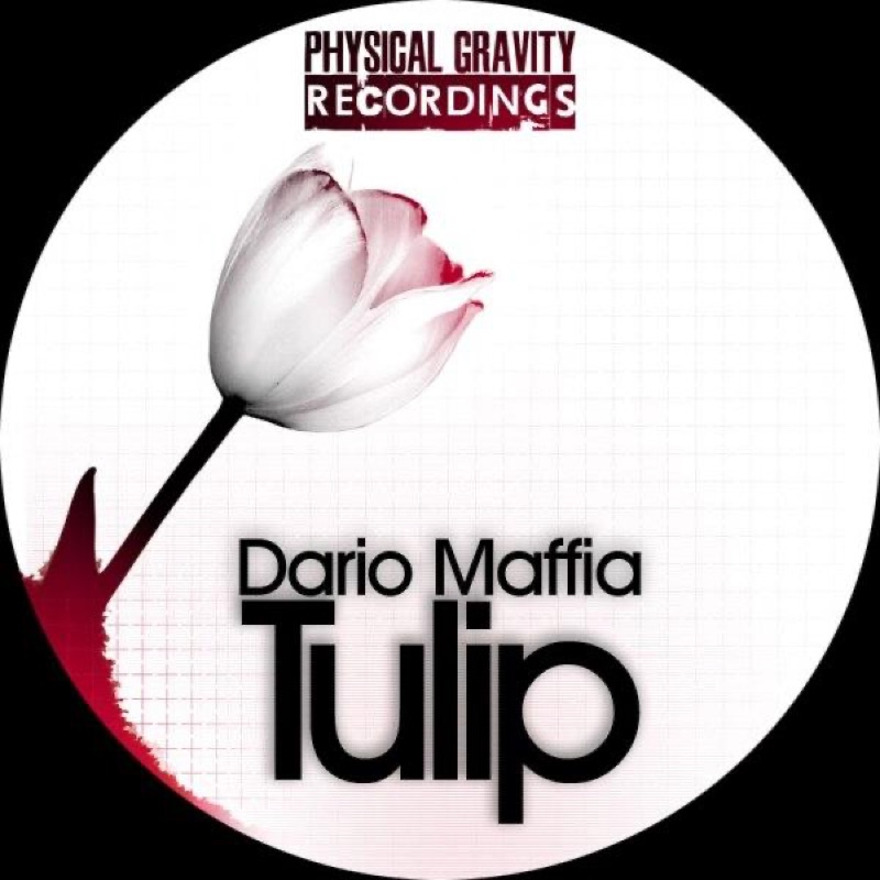 Tulip (Sam Singuel Remix) - Dario Maffia: Song Lyrics, Music Videos ...