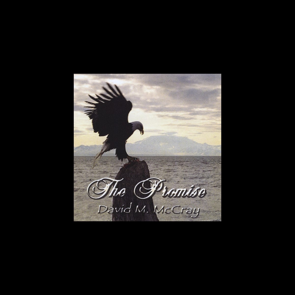 ‎The Promise - David M. McCrayのアルバム - Apple Music