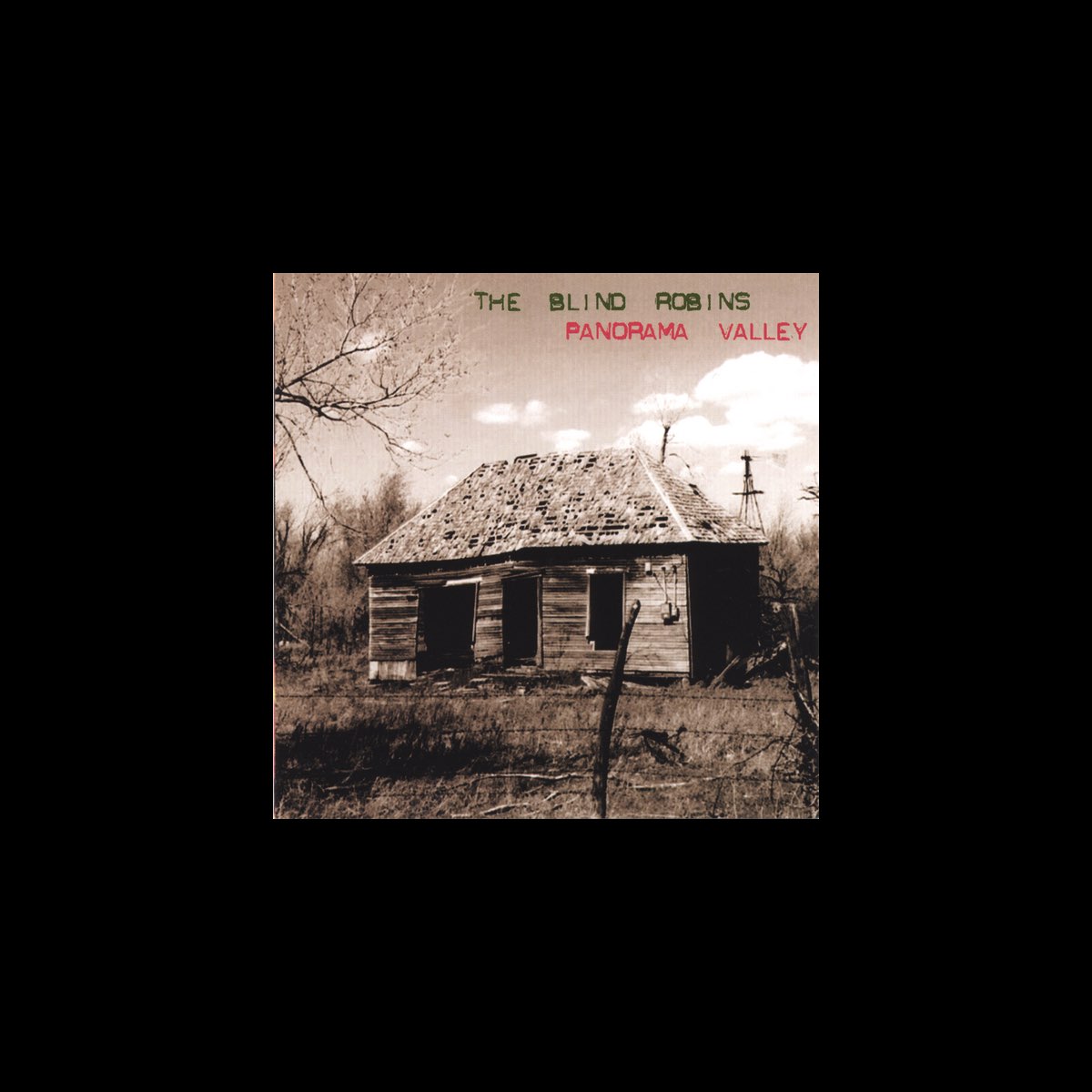 ‎Panorama Valley - Album by The Blind Robins - Apple Music
