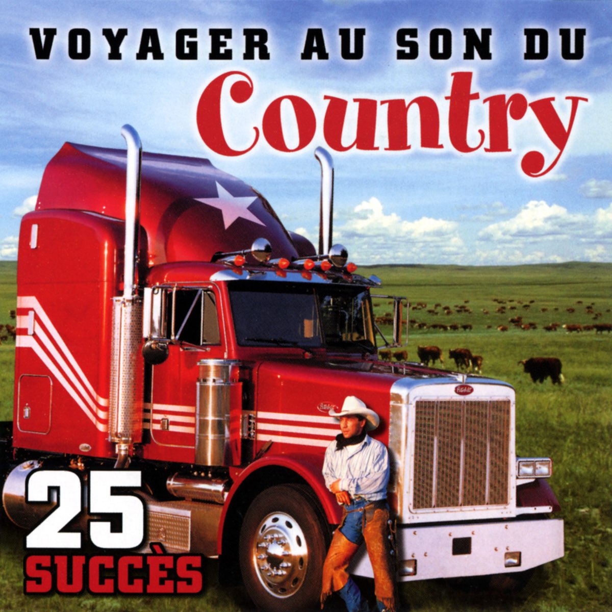 ‎Voyager Au Son Du Country - 25 Succès – Album par Multi-interprètes ...