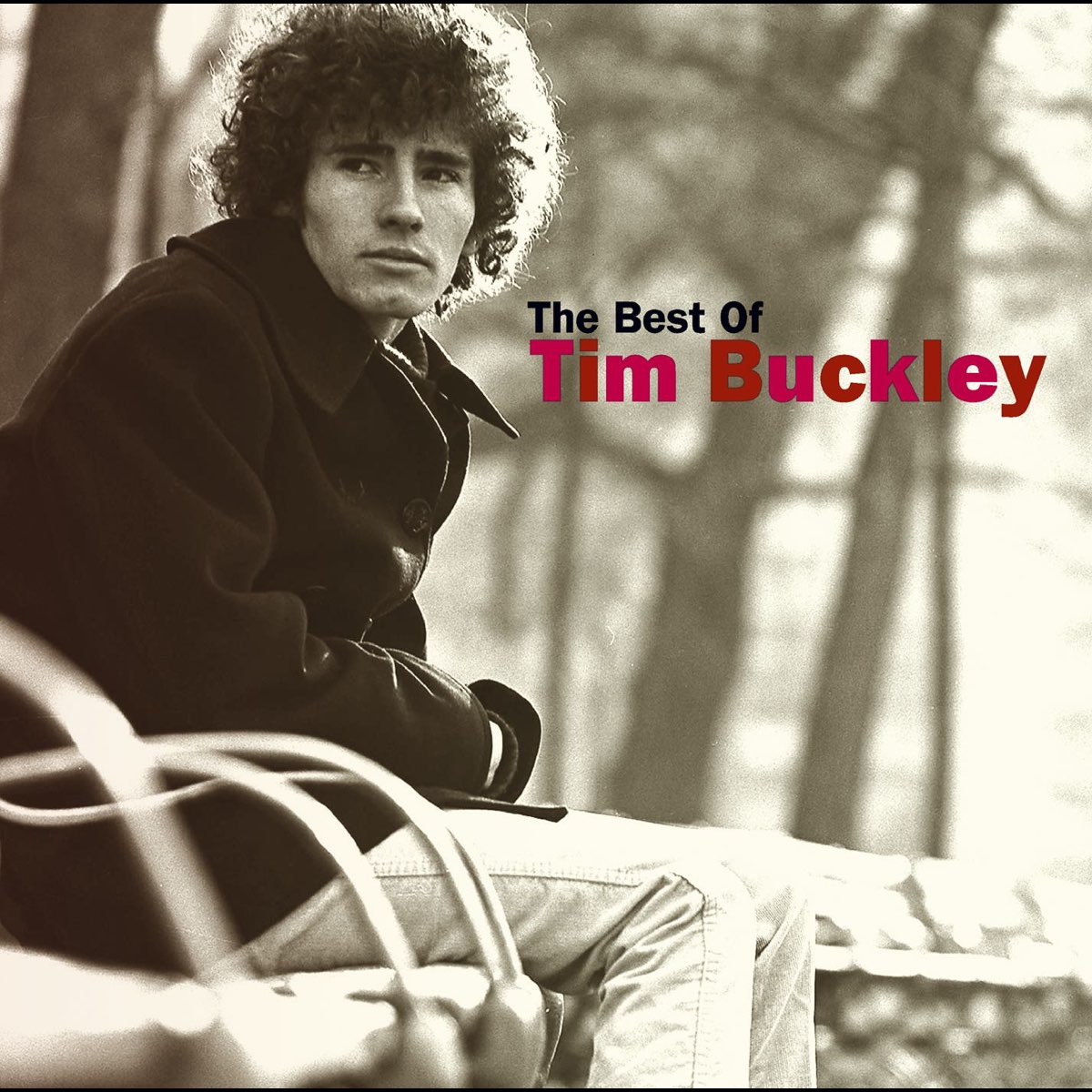 ‎The Best of Tim Buckley (Remastered) - Album by Tim Buckley - Apple Music