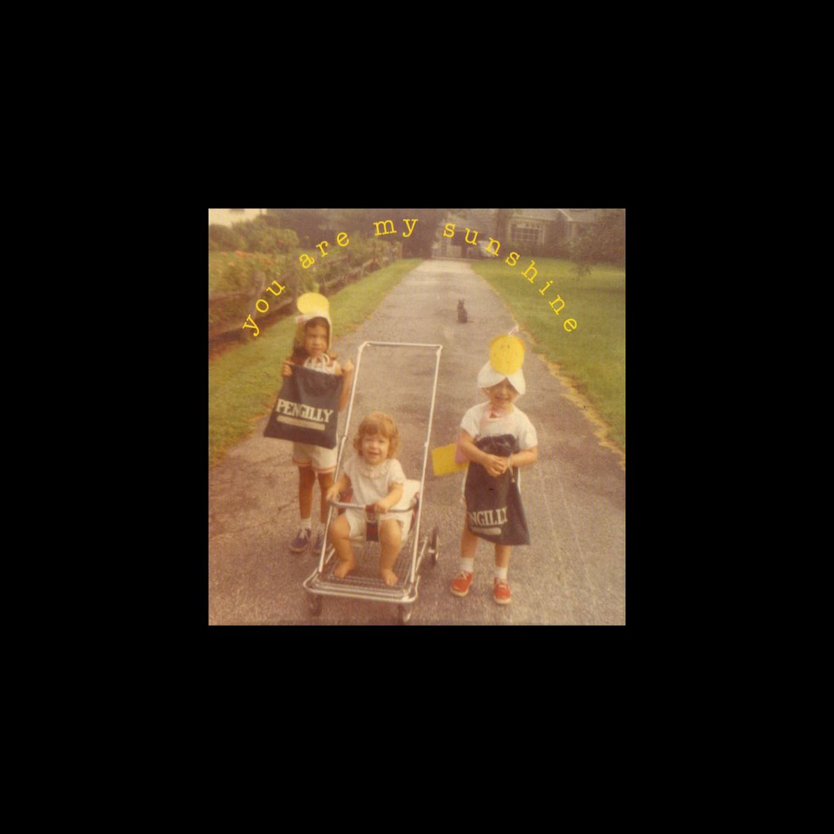 ‎You Are My Sunshine - Album by Elizabeth Mitchell - Apple Music