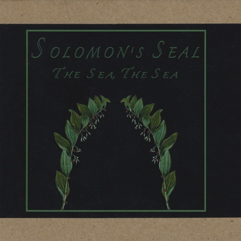 Sleeping In the Car - Solomon's Seal: Song Lyrics, Music Videos & Concerts