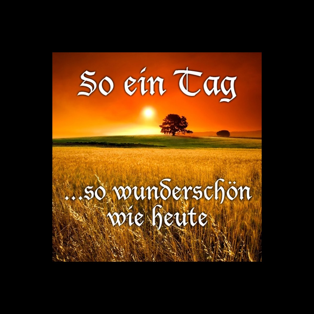 ‎So ein Tag so wunderschön wie heute - Album by Various Artists - Apple ...