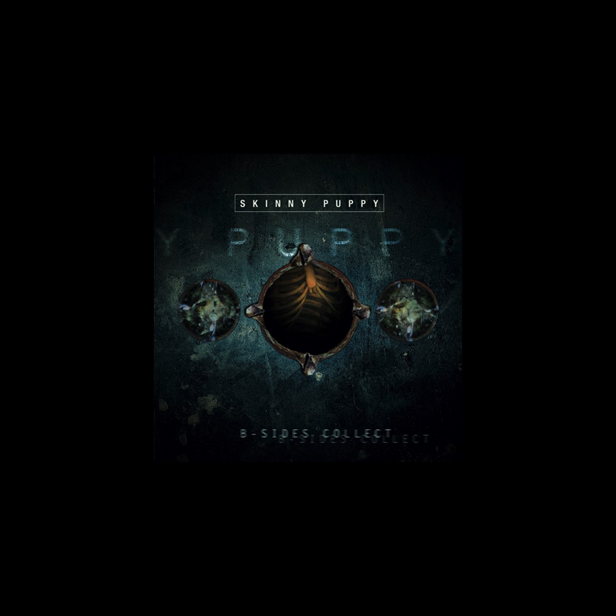 ‎B-Sides Collect - Album by Skinny Puppy - Apple Music