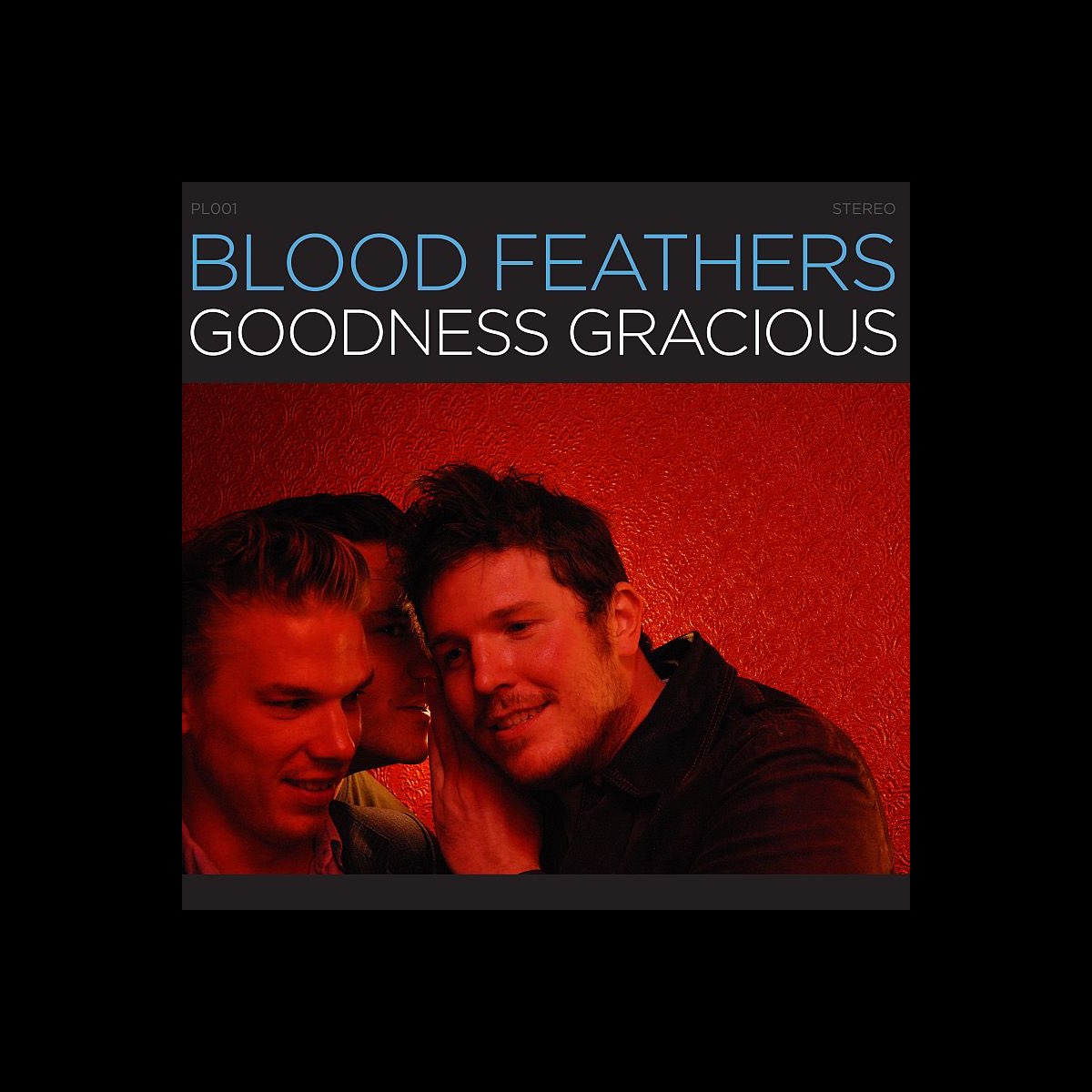 ‎Goodness Gracious - Album by Blood Feathers - Apple Music
