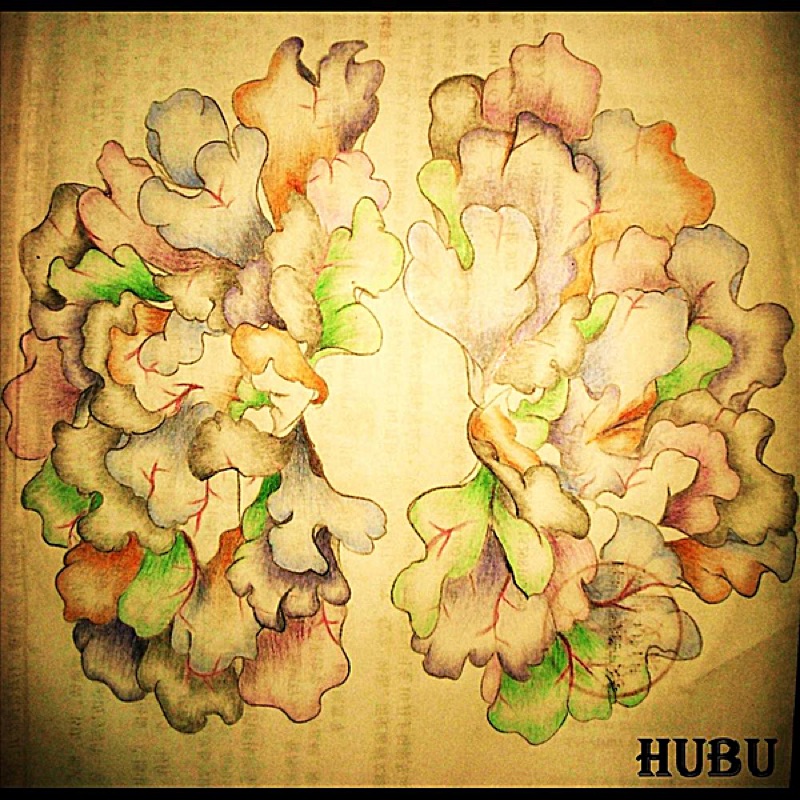 What Can I Do - Hubu: Song Lyrics, Music Videos & Concerts