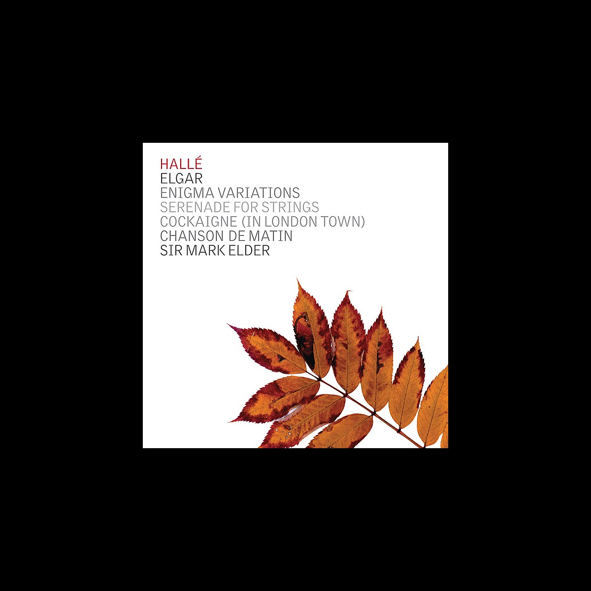 ‎Elgar: Enigma Variations - Album by Hallé & Sir Mark Elder - Apple Music