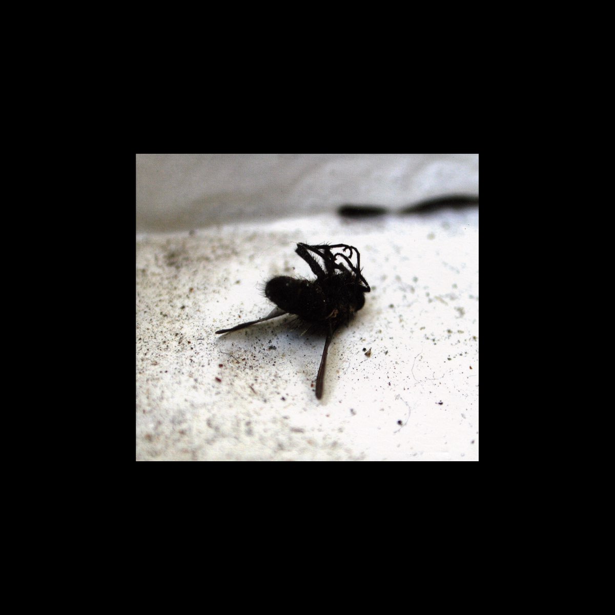 ‎Leave Land for Water - EP - Album by Leave Land for Water - Apple Music