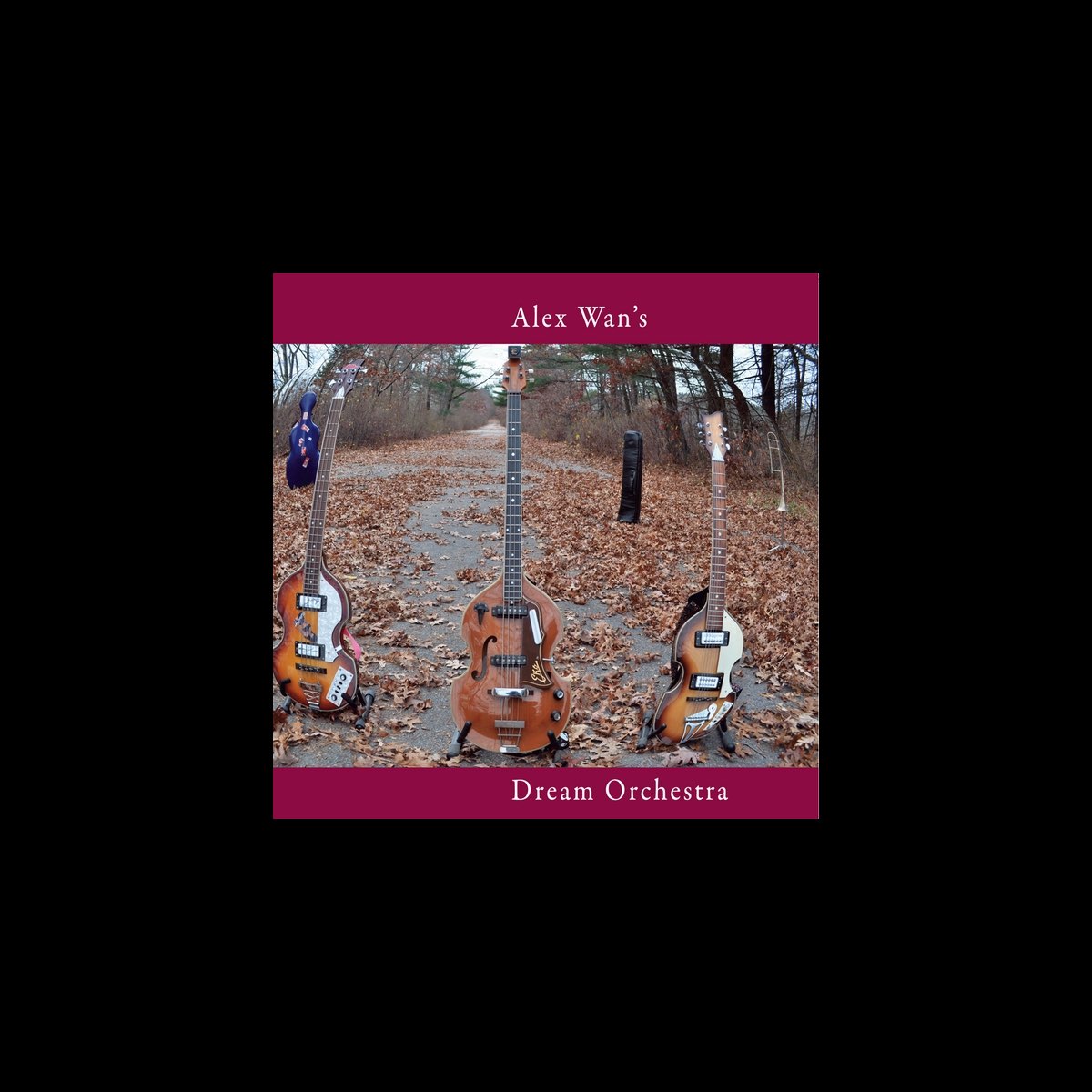 ‎Alex Wan's Dream Orchestra - Alex Wanのアルバム - Apple Music