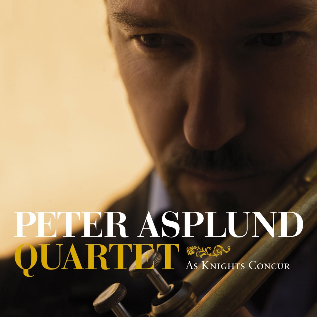 As Knights Concur》- Peter Asplund Quartet的专辑 - Apple Music