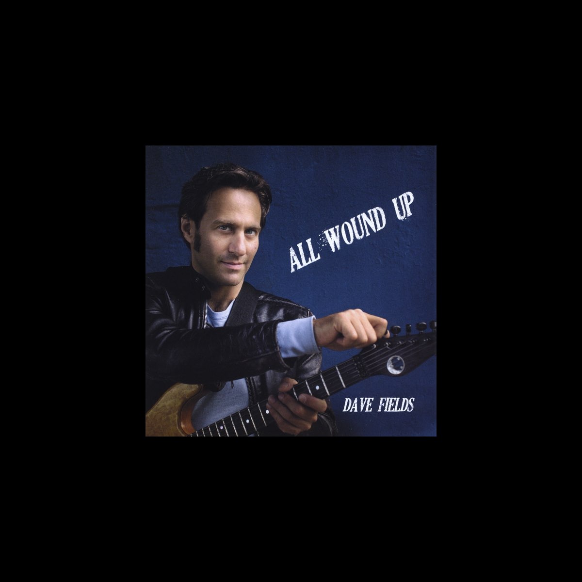 ‎Альбом «All Wound Up» — Dave Fields — Apple Music