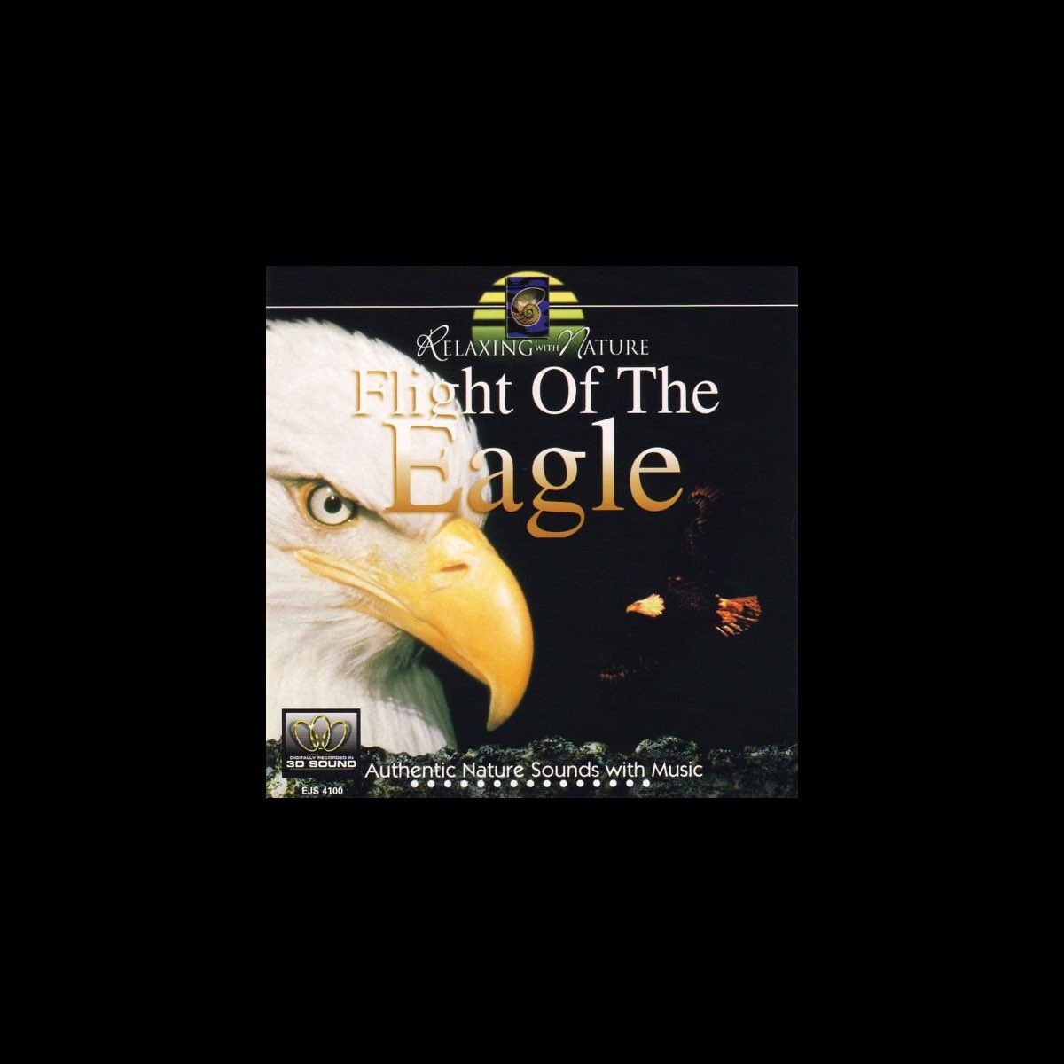 ‎Flight of the Eagle - Album by John St. John - Apple Music