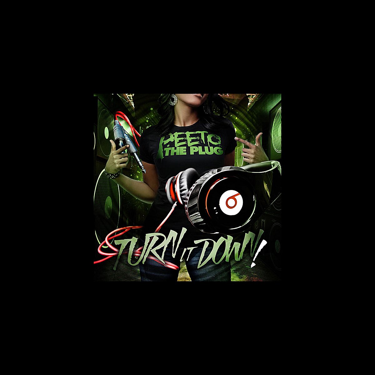 ‎Turn It Down - Single - Album by Peeto the Plug - Apple Music