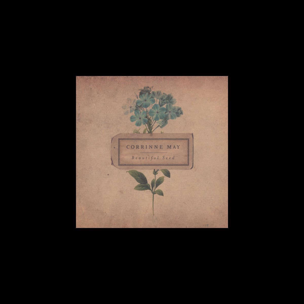 ‎Beautiful Seed - Album by Corrinne May - Apple Music