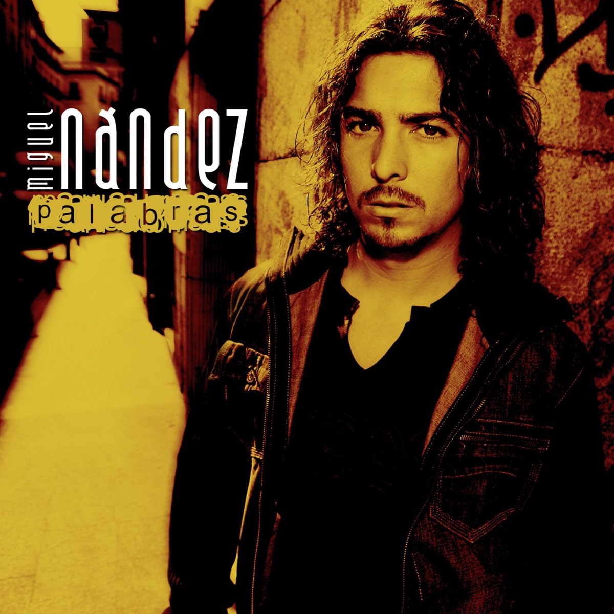 ‎Palabras - Album by Miguel Nandez - Apple Music