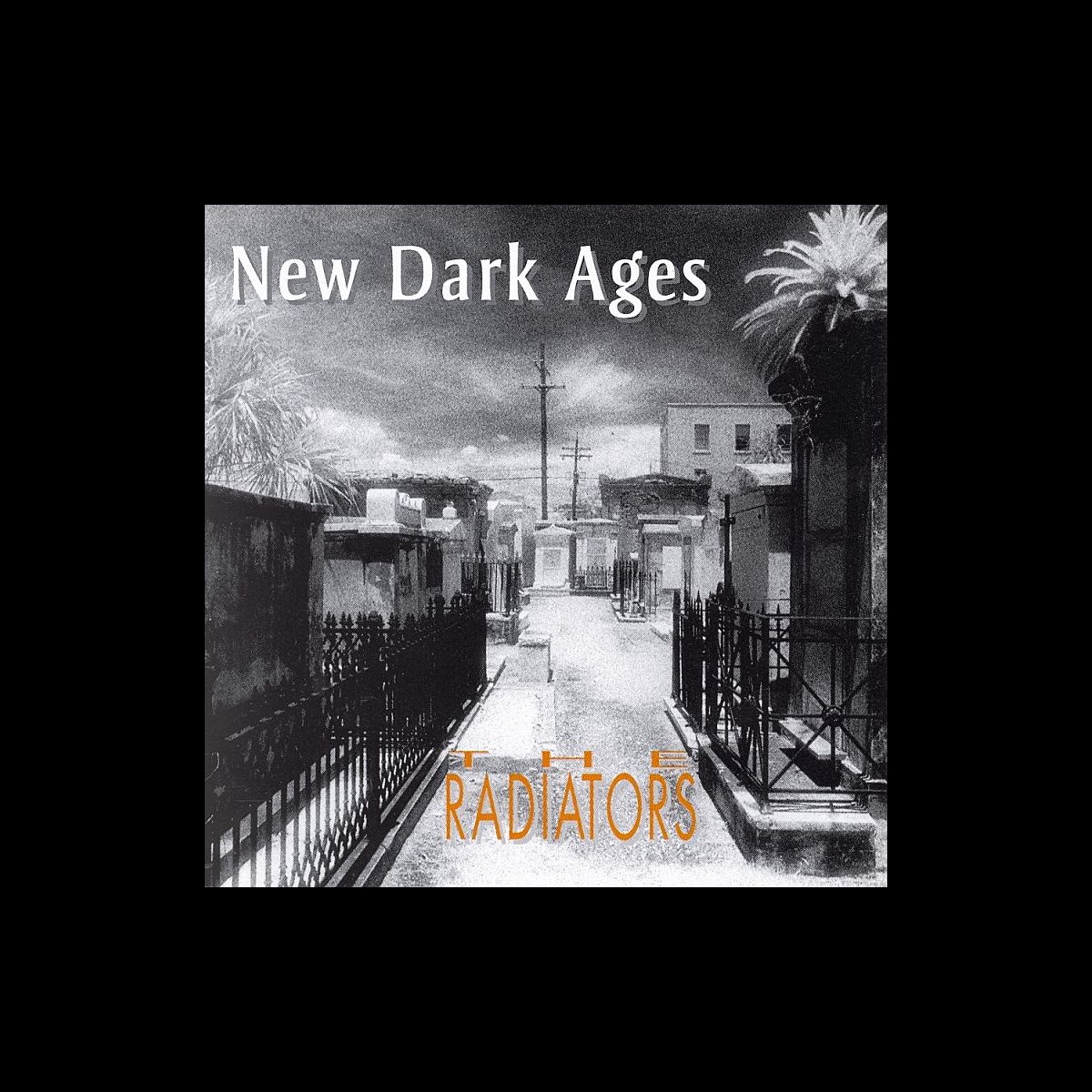 ‎New Dark Ages - Album by The Radiators - Apple Music