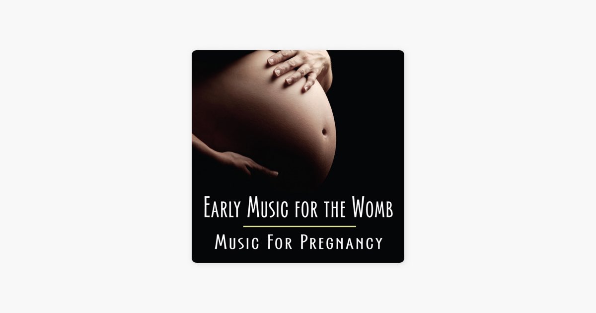 ‎Goldberg Variations, BWV 988: Aria – Titel von Rosalyn Turek – Apple Music