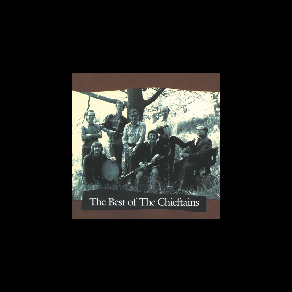 The Best of the Chieftains》- The Chieftains的专辑 - Apple Music