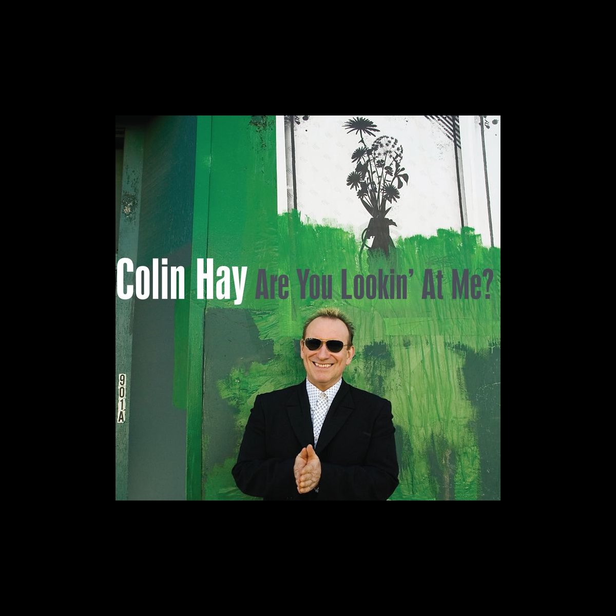 ‎Are You Lookin' At Me? - Album by Colin Hay - Apple Music