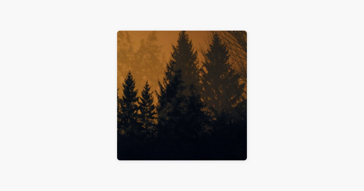‎From Roots to Needles - Song by If These Trees Could Talk - Apple Music