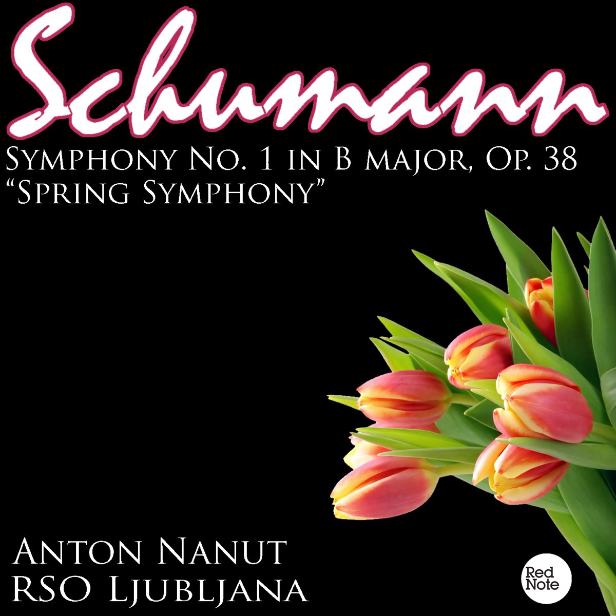 ‎Schumann: Symphony No.1 in B Flat Major Op.38 "Spring" - 斯洛文尼亞國家廣播交響樂團 ...
