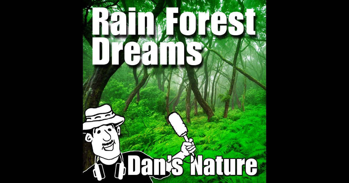 ‎Rain Forest Dreams (Nature Sound With Music) - Album by Dan's Nature ...