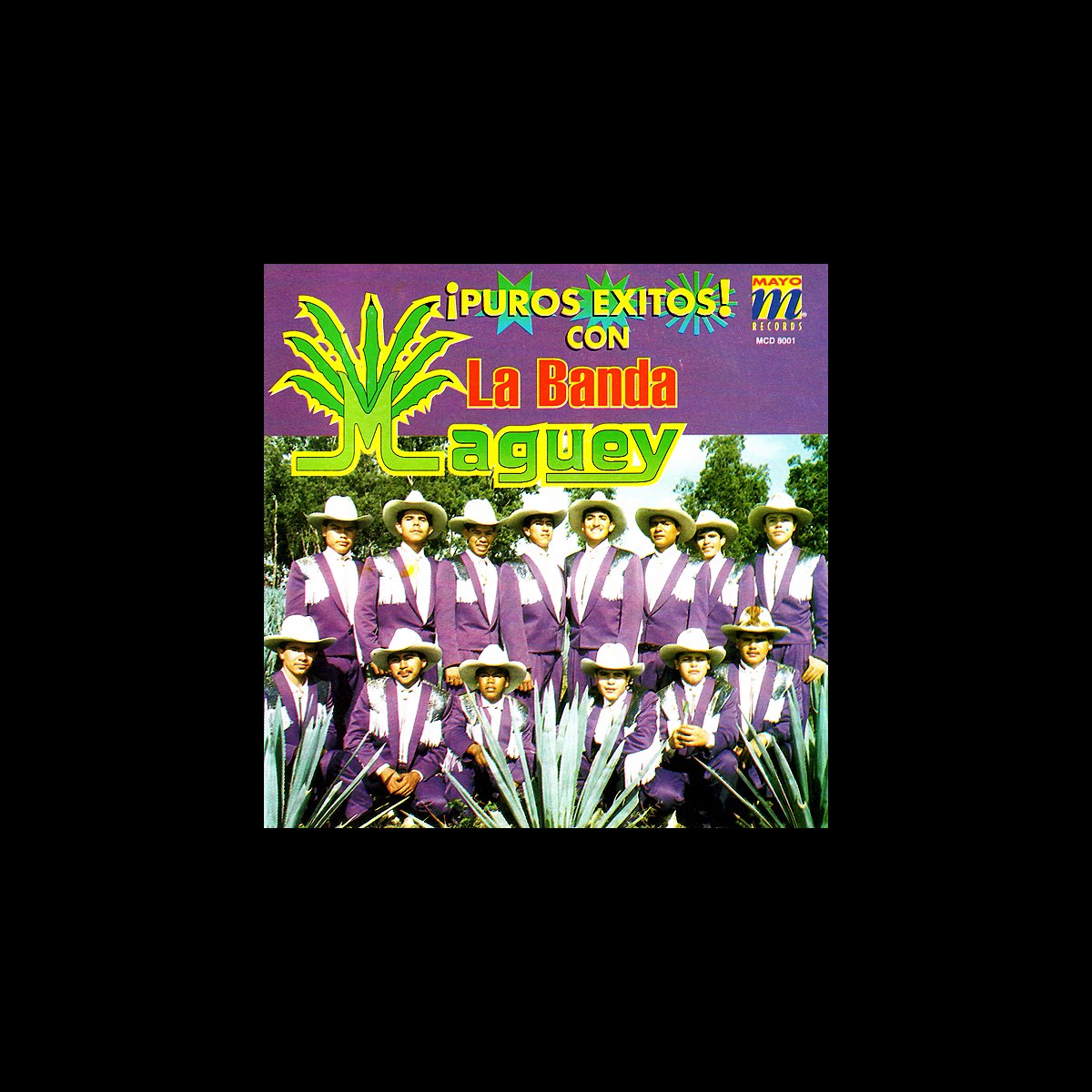‎La Banda Maguey: Puros Exitos - Album by Banda Maguey - Apple Music