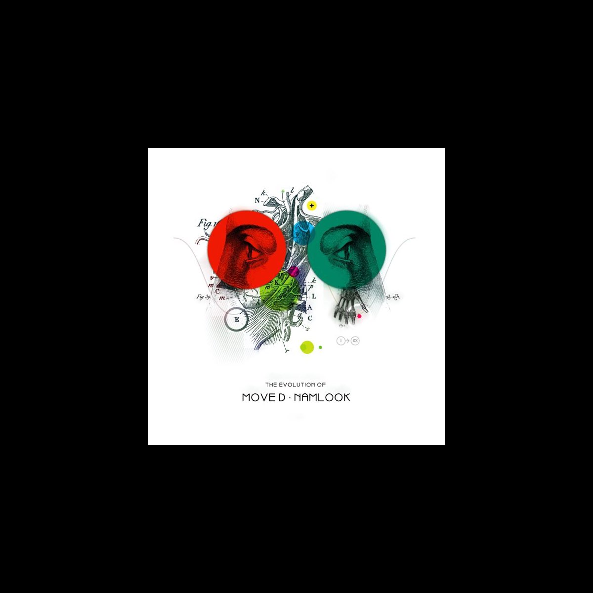 ‎The Evolution of Move D · Namlook de Pete Namlook & David Moufang en ...