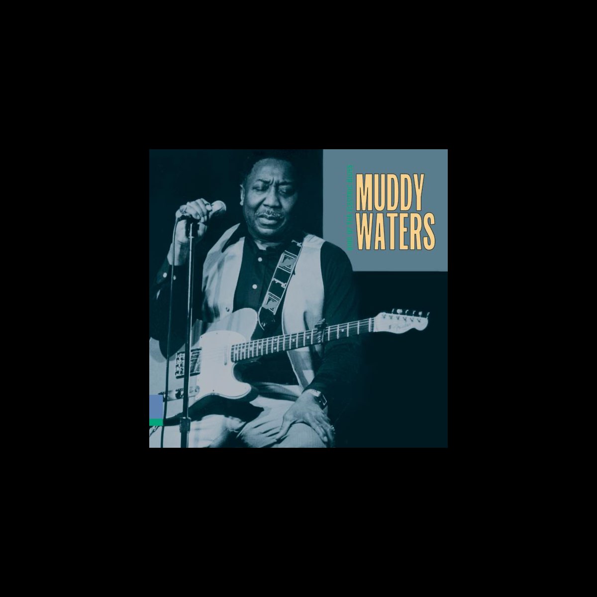 ‎King of the Electric Blues - Album by Muddy Waters - Apple Music